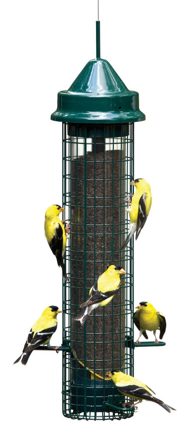 Brome Direct Squirrel Buster Proof Nyjer Bird Feeder 4 Metal Perches 1 ...
