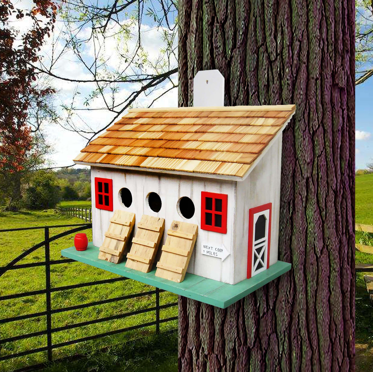 Chicken Coop Birdhouse - Small — The Bird Shed