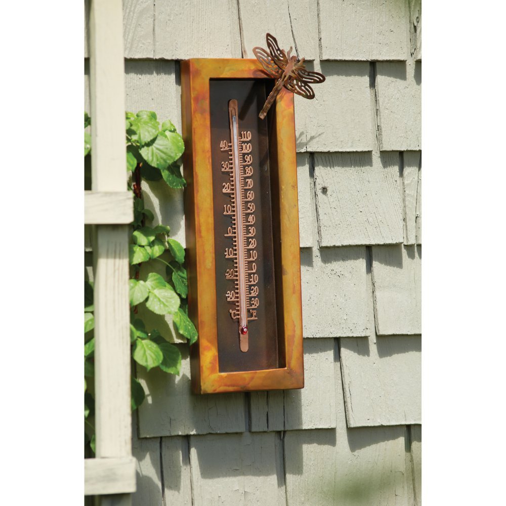 Dragonfly Shadowbox Thermometer — The Bird Shed