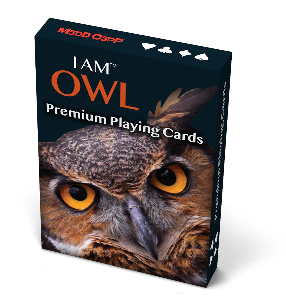 I AM OWL Playing Cards — The Bird Shed