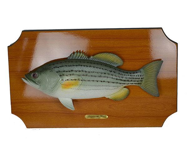 18 inch Bass Wall Plaque — The Bird Shed